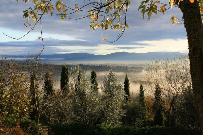 Panoramic hiking in the Florentine hills with Vincenzo - In The Sum Up
