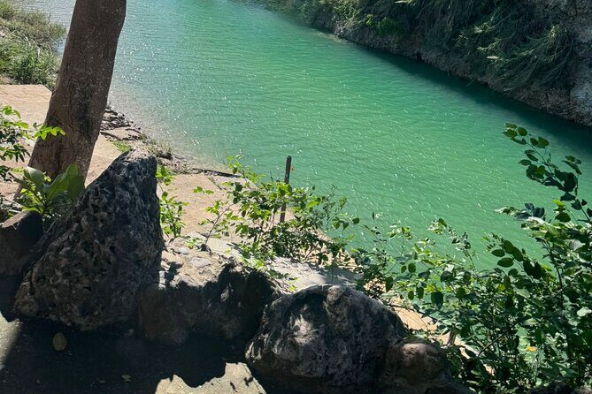 Panoramic Ocho Rios Heritage, Zipline and River Swim - Who Is This Tour Best For?