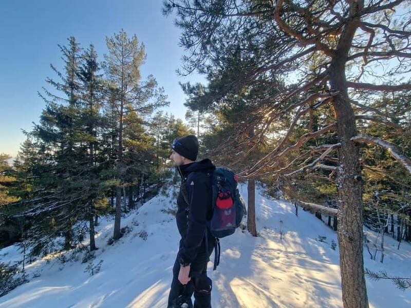 Panoramic Peaks  Oslos Best Fjord Views Hike - Practical Details and Logistics