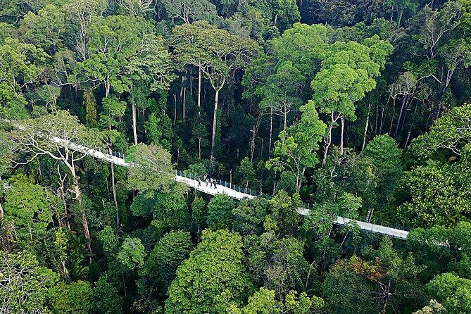 Panoramic Penang Hill & The Habitat Nature Discovery - What Makes This Tour Special?