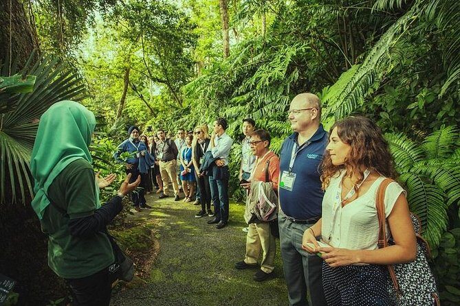 Panoramic Penang Hill & The Habitat Nature Discovery - The Itinerary: A Thoughtfully Crafted Day