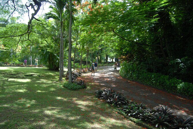 Panoramic Plus - Key Points