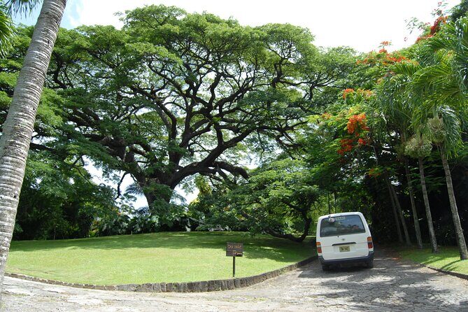 Panoramic Plus - Practical Details and What You’ll Need to Know