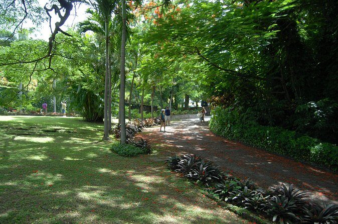 Panoramic Plus - Final Thoughts