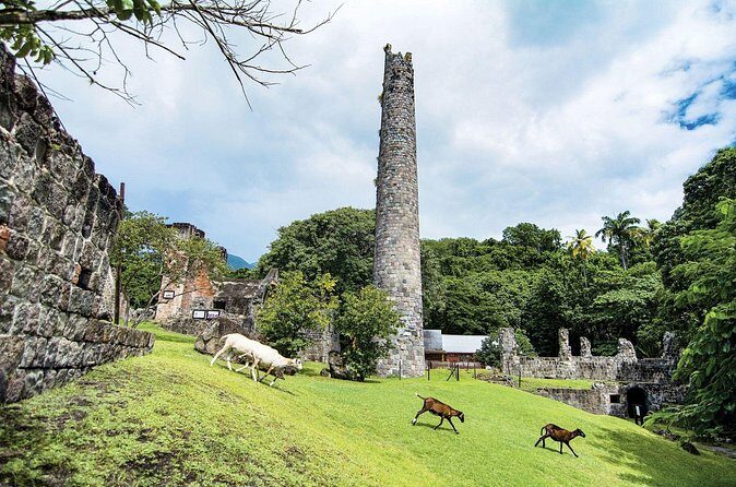 Panoramic Plus - FAQs