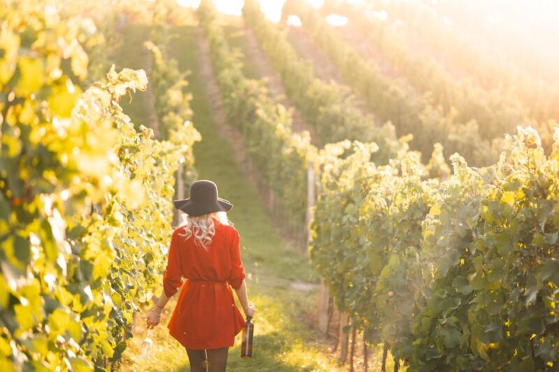 Panoramic Prosecco Tasting Tour From Padua - Price & Value: What Are You Paying For?