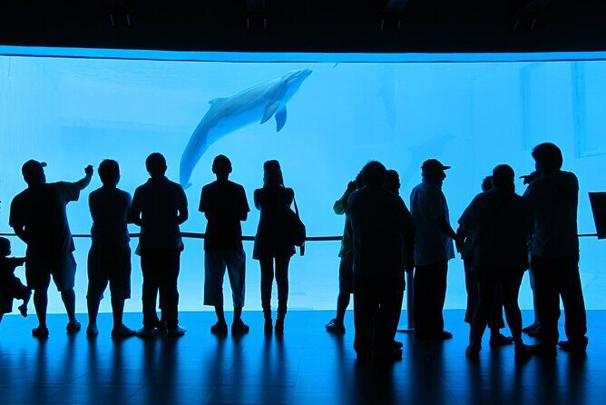 Panoramic Sightseeing Bus City Tour of Veracruz - The Value Proposition