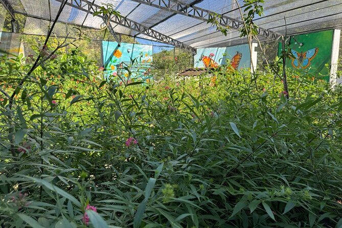 Panoramic Tour of the Reality of the Countryside and Village - Final thoughts: Is this tour right for you?