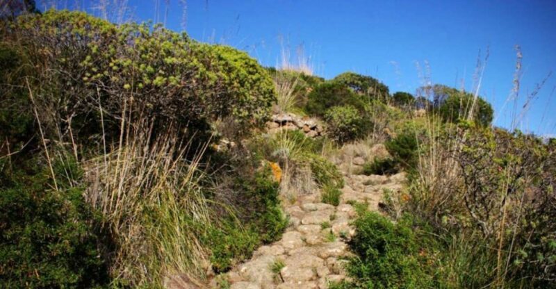 Pantelleria Island: Pantelleria National Park Hiking Tour - Key Points