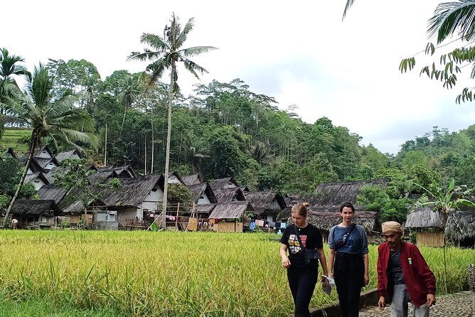 papandayan volcano Garut tour . day trip ticket etc all including - Who Should Consider This Tour?