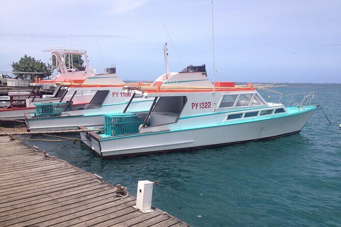 Papeete and Tahiti Historical and Cultural Tour - Key Points