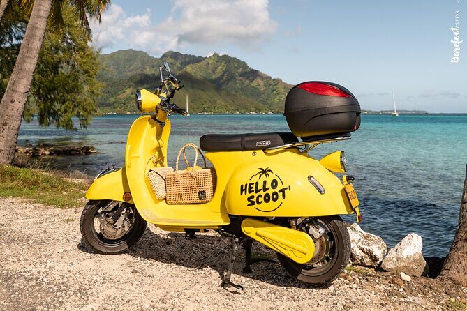 Papeete Food & City Tour - Authentic Experiences in a Scenic Setting