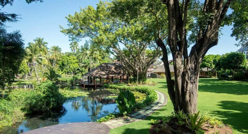 Papeete: Guided City Tour & Pearl Museum Visit - An In-Depth Look at the Tour