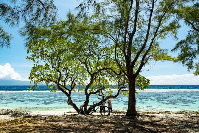 Papeete Market Place - FAQ: Your Questions About the Papeete Market Place Tour