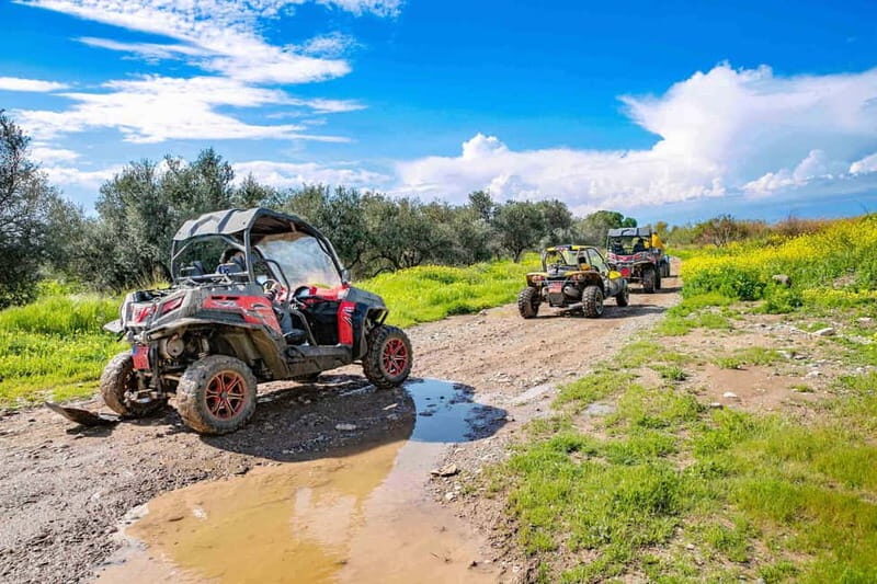 Paphos: 4x4 ATV & Buggy Safari Tour to Aphrodite's Rock - Real Traveler Perspectives
