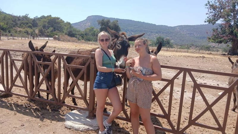 Paphos: Avakas Gorge & Turtle Bay Jeep Tour with Donkey Farm - Turtle Bay: A Protected Seagrass Habitat