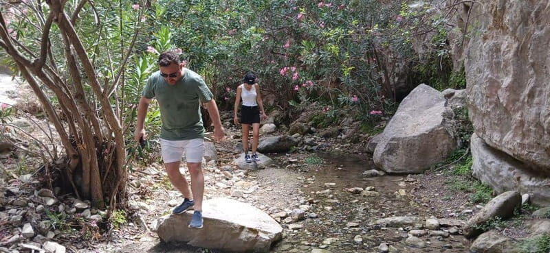 Paphos: Avakas Gorge & Turtle Bay Jeep Tour with Donkey Farm - Traditional Village Stop