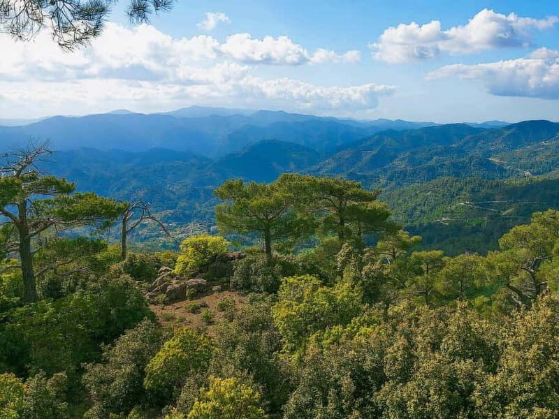 Paphos: Beauty, Nature and Charm of Troodos Mountains - Discovering the Treasures of the Troodos Mountains
