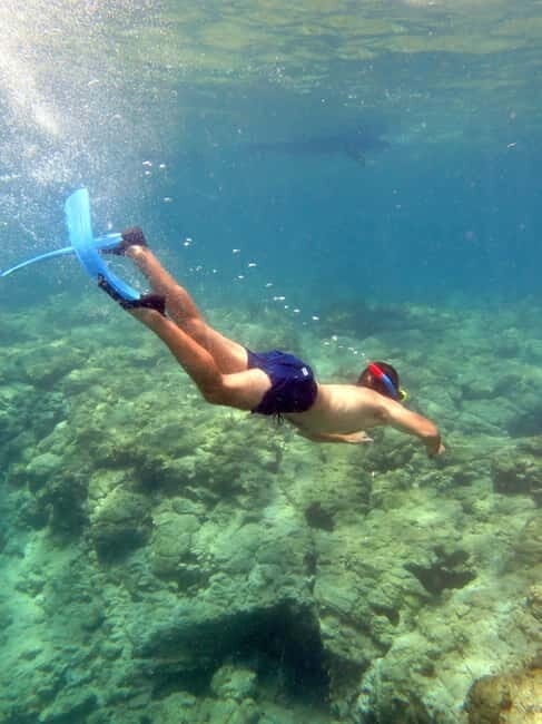 Paphos: Blue Lagoon Cruise-BBQ Lunch, Open Bar, Slide - The Water Activities: More Than Just Swimming