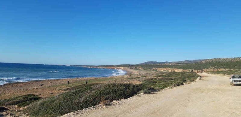 Paphos: Buggy Safari to Akamas Peninsula with Lunch - Authenticity and Unique Experiences