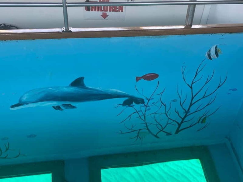 Paphos: Glass Bottom Boat Trip with Swimming or Snorkeling - The Sum Up