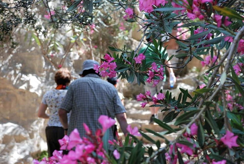 Paphos: Land Rover Jeep Safari Coastal Tour and Blue Lagoon - FAQ