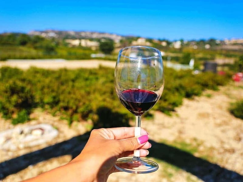 Paphos: Local Wineries Tour with Wine Tastings - Potential Drawbacks & Considerations