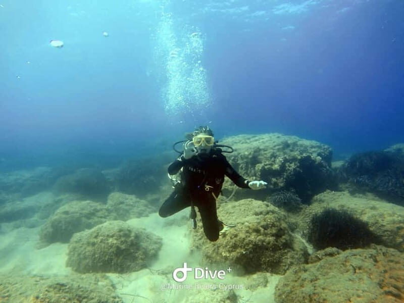 Paphos: Professional Dive Experience PADI British Instructor - Key Points
