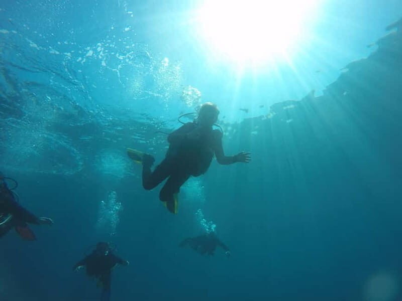 Paphos: Professional Dive Experience PADI British Instructor - An In-Depth Look at the Paphos Dive Experience