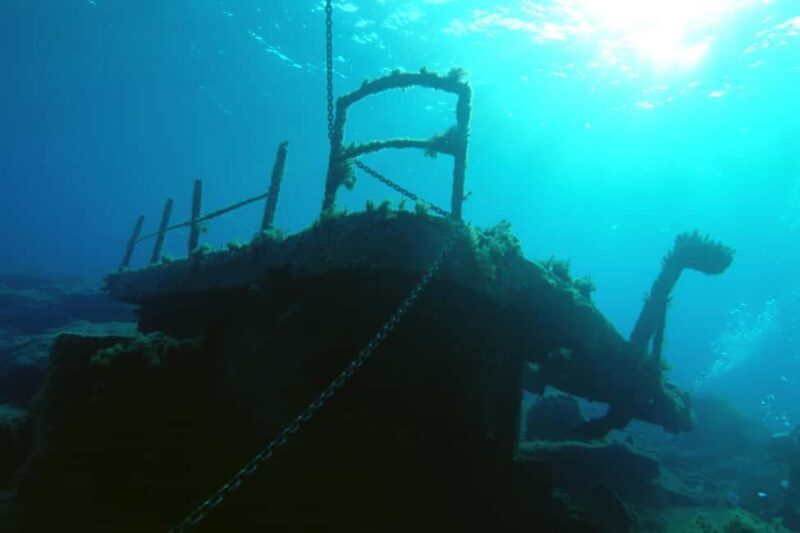 Paphos: The Yellow Glass-Bottom Boat Cruise Swim & Snorkel - Who Will Love This Tour?