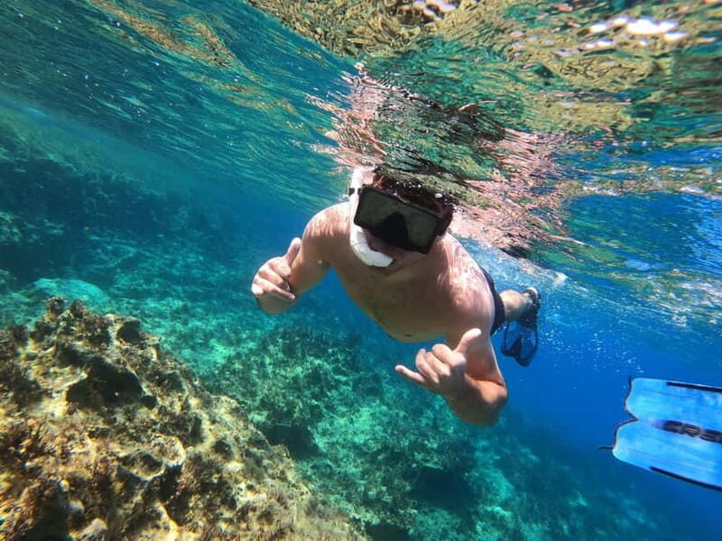 Paphos: Turtle-Watching Snorkeling Sea Scooter Trip - What Travelers Say: Authentic Feedback