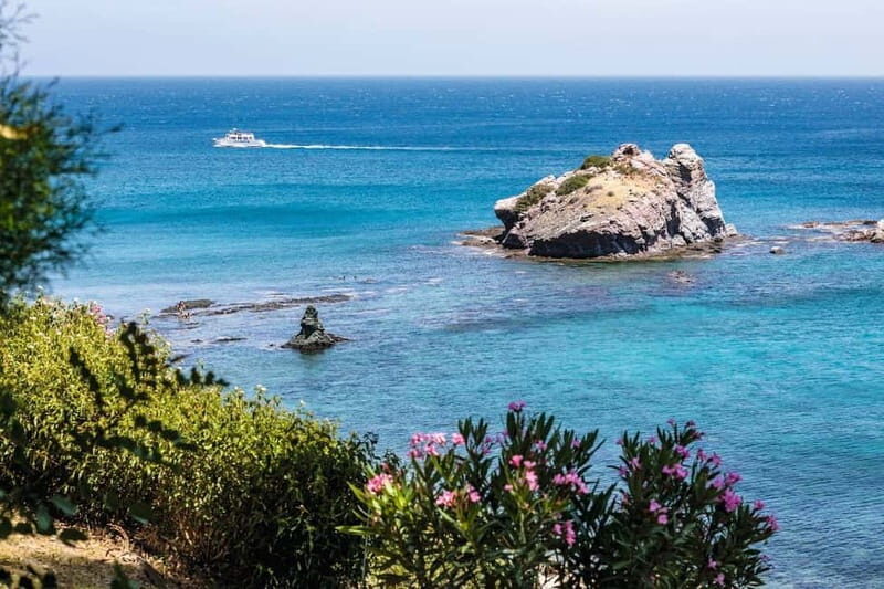Paphos: Zoo Visit and Blue Lagoon Cruise with Guide & Lunch - Why This Tour Offers Good Value
