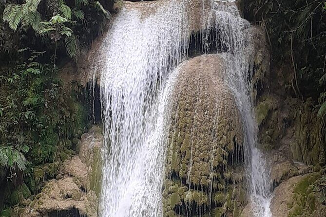 Parada Maria y Miguel and the Limón Waterfall Tour from Samana - The Pros and Cons Based on Reviews