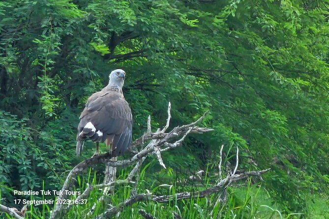 Paradise Bundala Safari Tours - Authentic Hospitality and Personal Touches