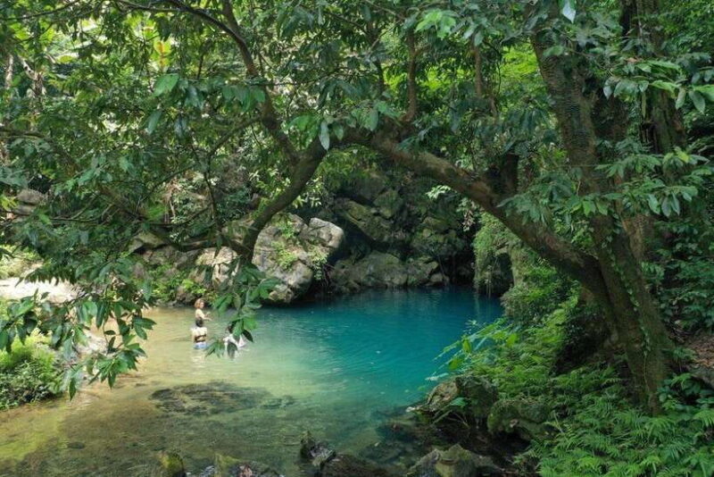 Paradise Cave and Phong Nha Cave Day Trip - An In-Depth Look at the Cave Day Trip