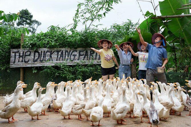Paradise Cave and Village Charm A Phong Nha Day Trip - A Deep Dive Into the Experience