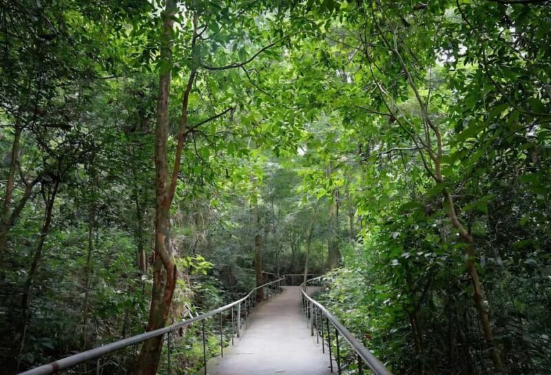 Paradise Cave Day Trip from Hue - The Sum Up
