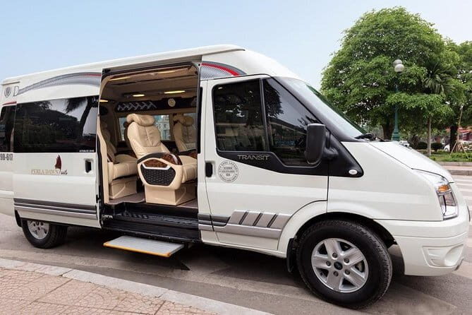 Paradise Cave Experience in Cat Ba - Who Is This Tour Best For?