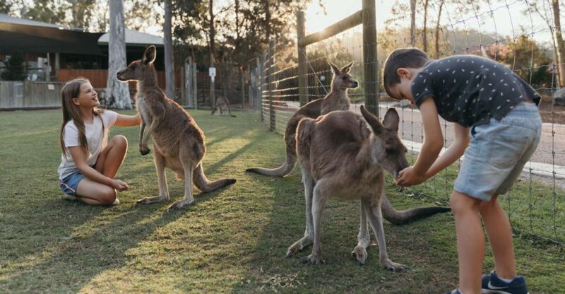 Paradise Country: Ultimate Aussie Farm Experience - Who Will Love Paradise Country?