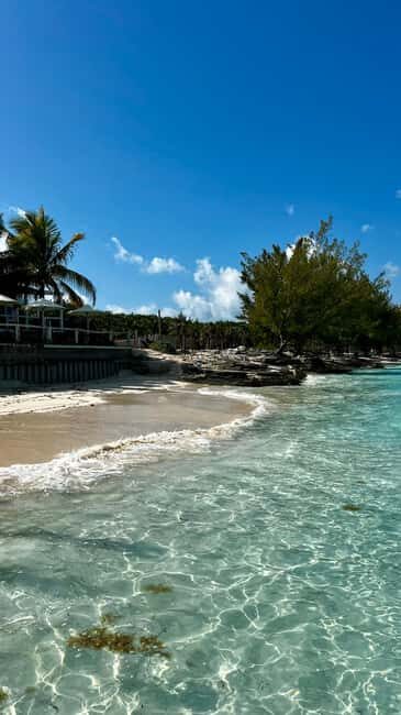 Paradise Found In Hog Haven: Ultimate Beach Escape - Final Thoughts