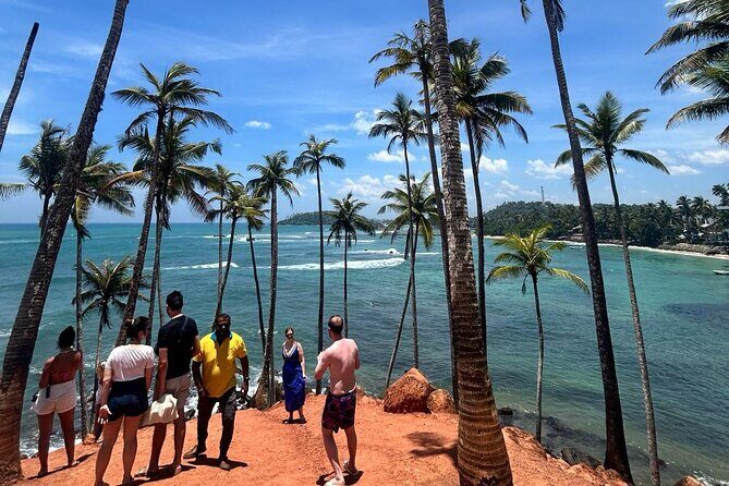 Paradise Galle Day Tours - An In-Depth Look at the Tour
