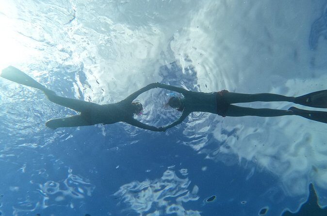 Paradise Honu Morning Snorkeling Tour - Final Thoughts: Is It Worth It?