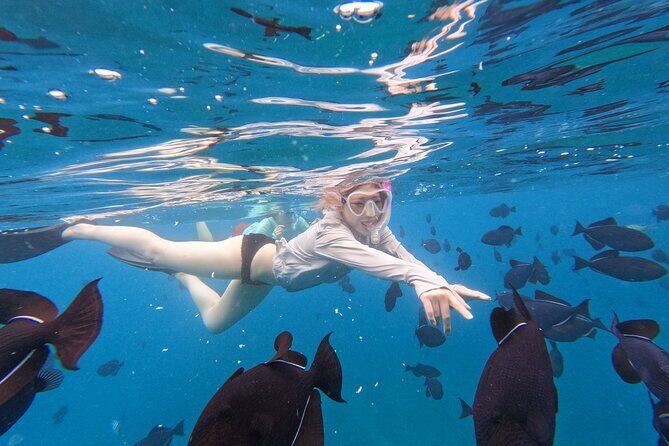 Paradise Honu Snorkeling Tour - Who Should Consider This Tour?