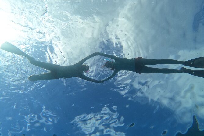 Paradise Honu Snorkeling Tour - FAQs