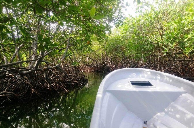 Paradise Island & Mangroves Tour - FAQ