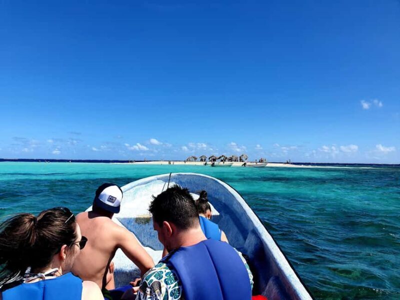 Paradise Island Private Tour, Snorkeling & Manatee Sanctuary - An In-Depth Look at the Tour