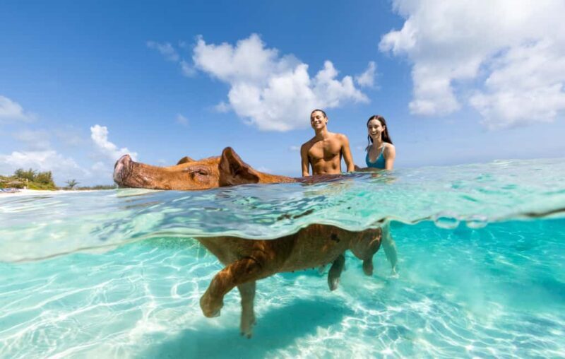 Paradise Island: Rose Island Tour with Swimming Pigs & Lunch - In-Depth Look at the Experience