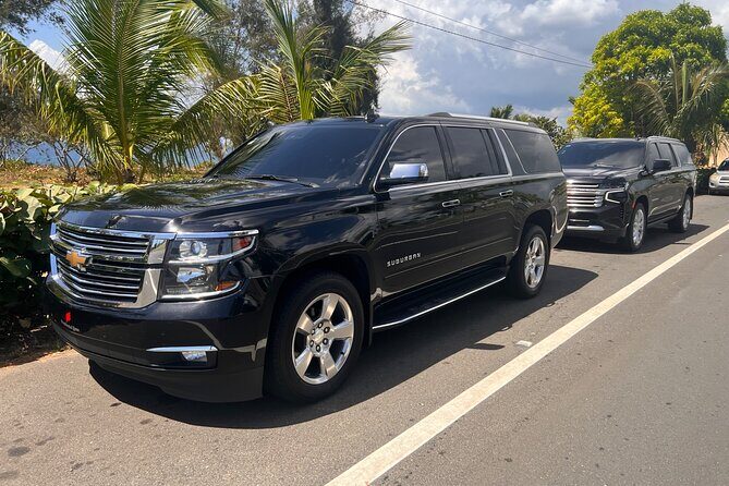 Paradise on Wheels: Suburban Premiere in Punta Cana - Round Trip - An In-Depth Look at Paradise on Wheels in Punta Cana