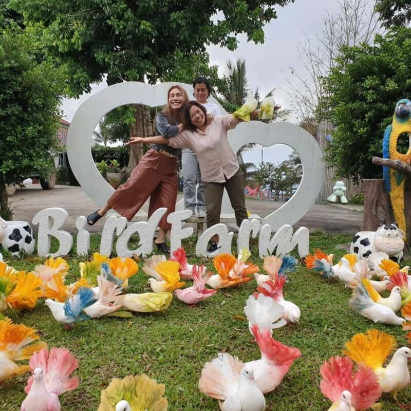 Paradise Park Farm Entry Ticket with Transfer - Key Points