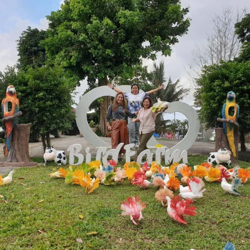 Paradise Park Farm Entry Ticket with Transfer - Who Will Love This Experience?